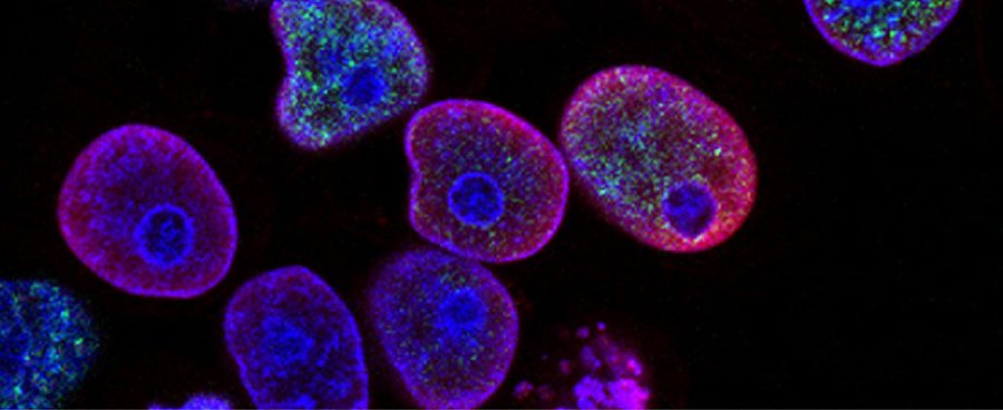 MIT Department of Chemistry – Department of Chemistry at MIT