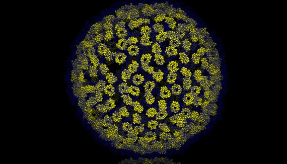 Graduate Program – MIT Department of Chemistry