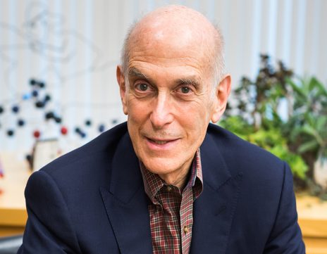 Stephen J. Lippard Fellowship Fund – MIT Department of Chemistry