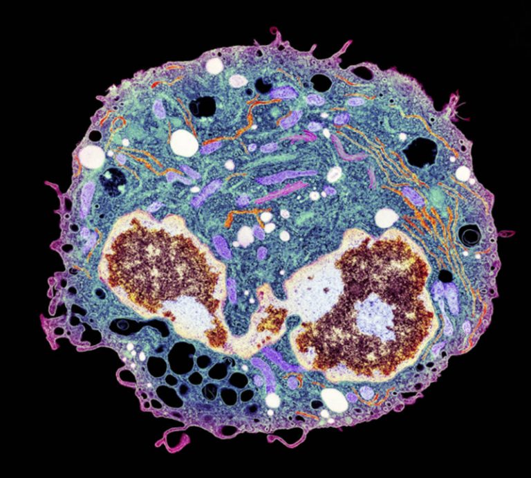 Shalek research featured in Nature: Single-cell approaches to immune ...