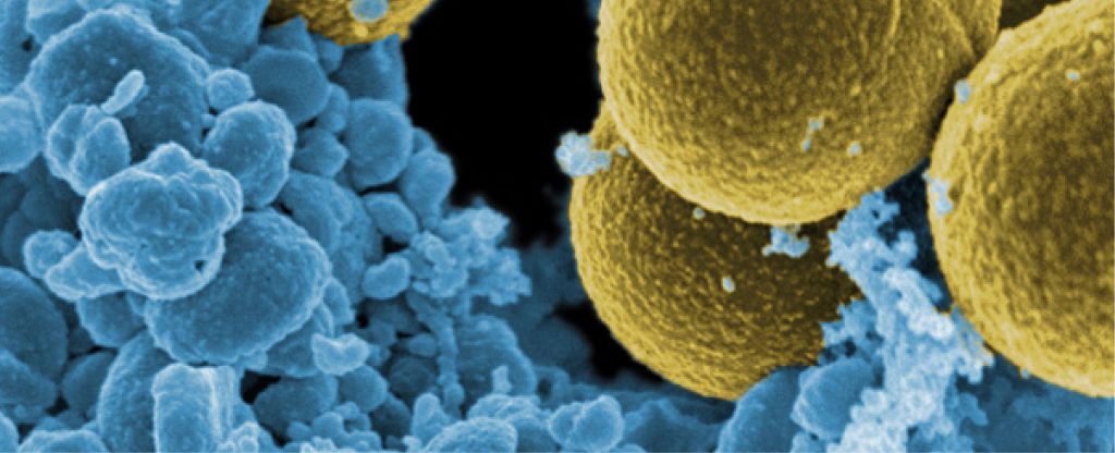 MIT Department of Chemistry – Department of Chemistry at MIT