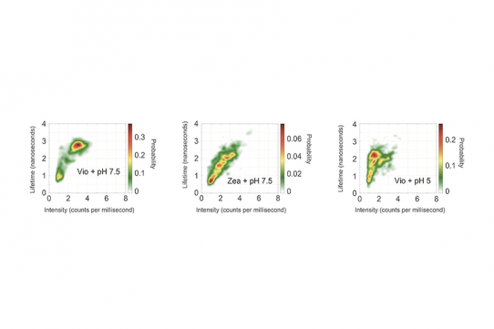 Understanding how plants use sunlight – MIT Department of Chemistry