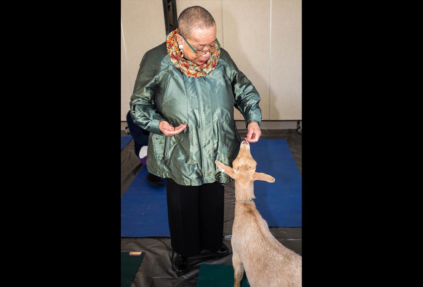 Graduate Student Appreciation Week brings Goat Yoga to Chemistry – MIT ...