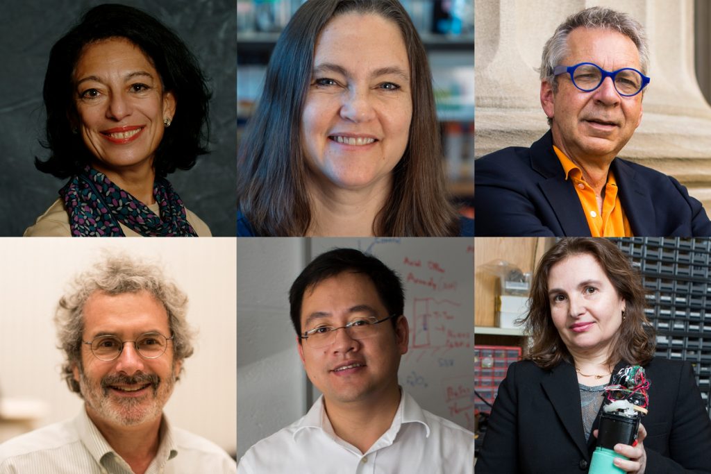 Six MIT faculty elected 2020 AAAS Fellows – MIT Department of Chemistry