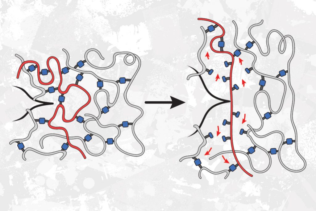 Surprise! Weaker bonds can make polymers stronger – MIT Department of ...