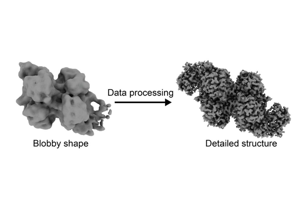 Chemical Biology – MIT Department of Chemistry