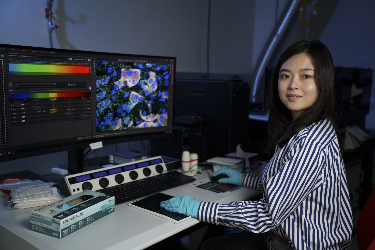 Mapping mRNA through its life cycle within a cell – MIT Department of ...