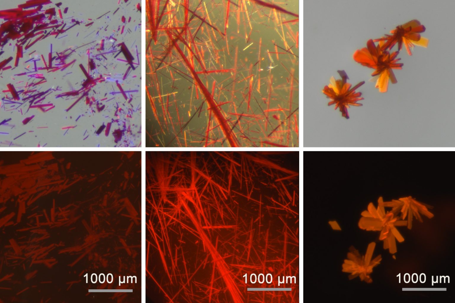 Chemists create red fluorescent dyes that may enable clearer biomedical ...